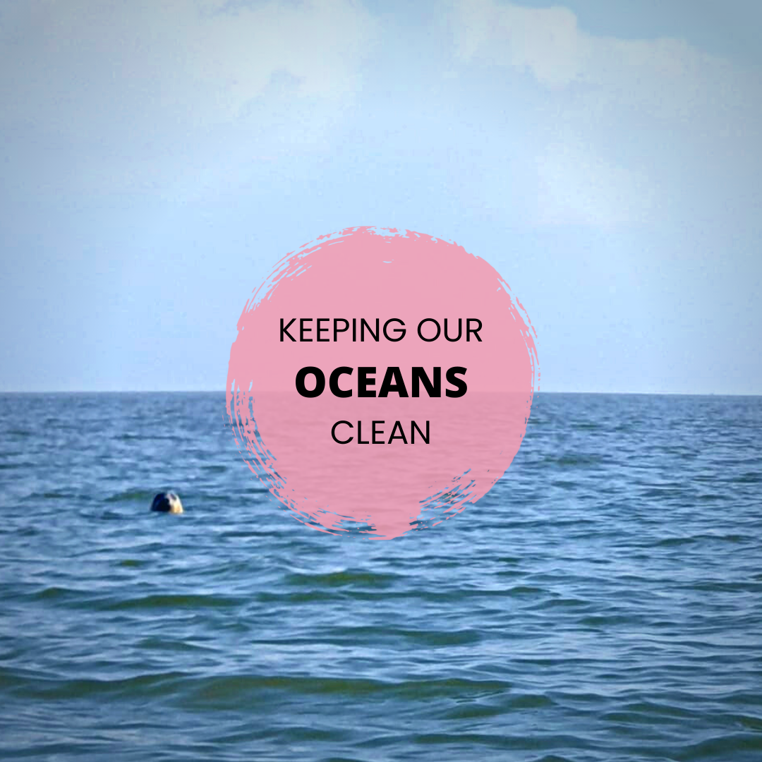 Clean Ocean | Green Planet | BeReal Blog | BeReal